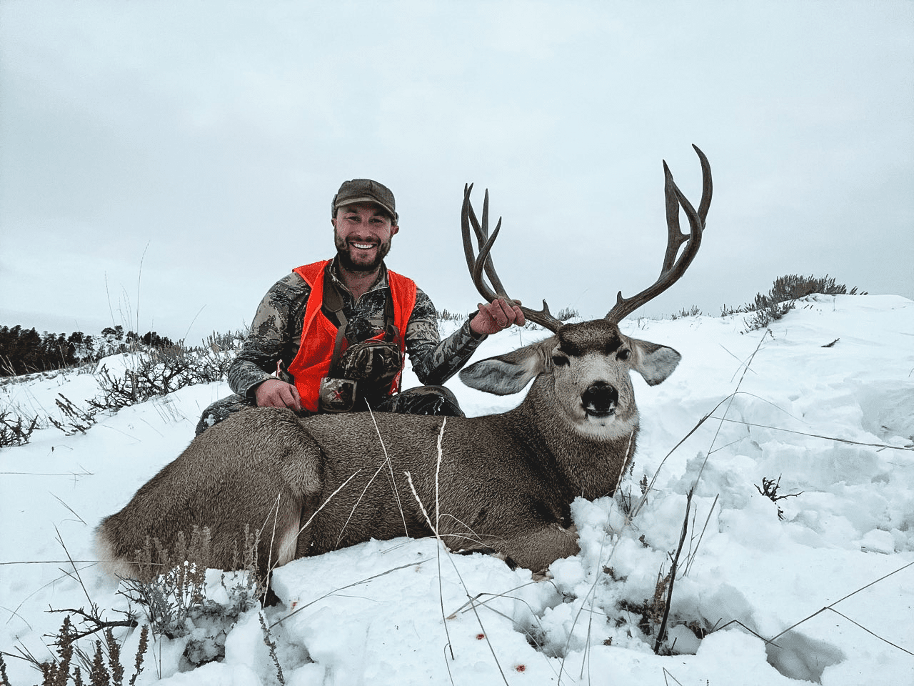 The Dark Side Of Sport Hunting: Why It's Cruel And Unnecessary – Humane ...